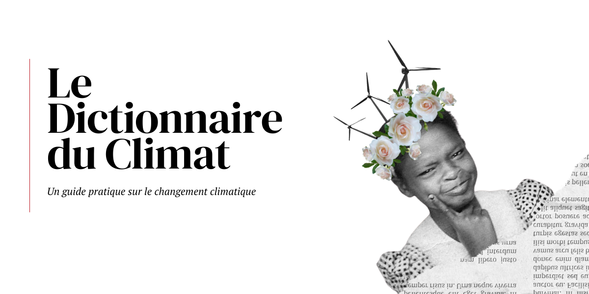Le Dictionnaire du Climat : un guide pratique sur le changement ...